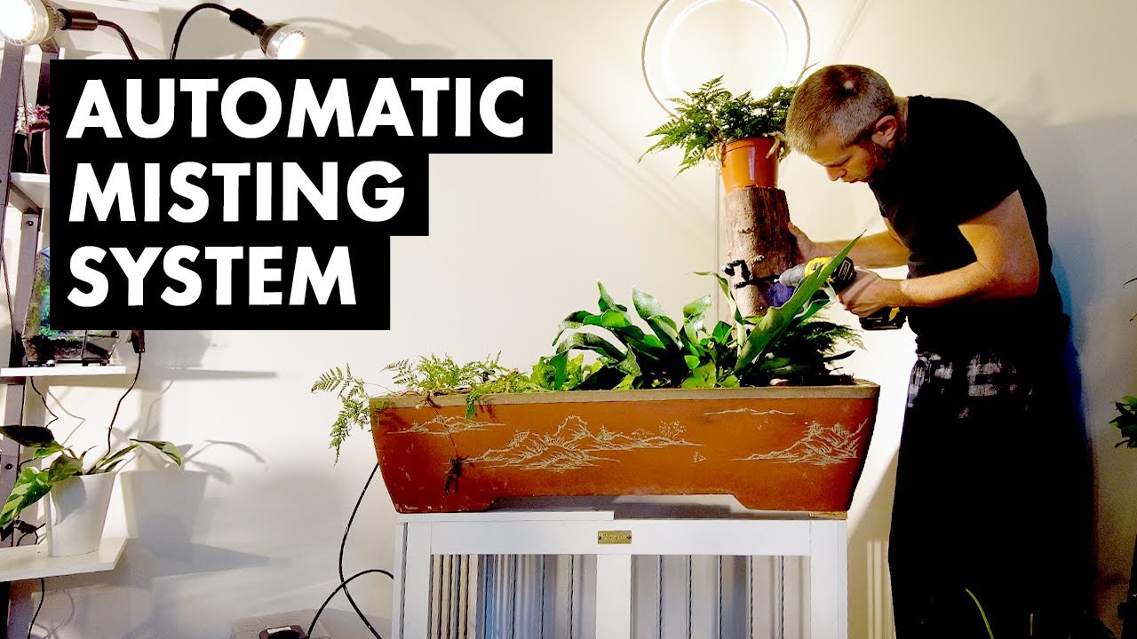 Adding an auto misting system to the big clay fern forest. - YouTube