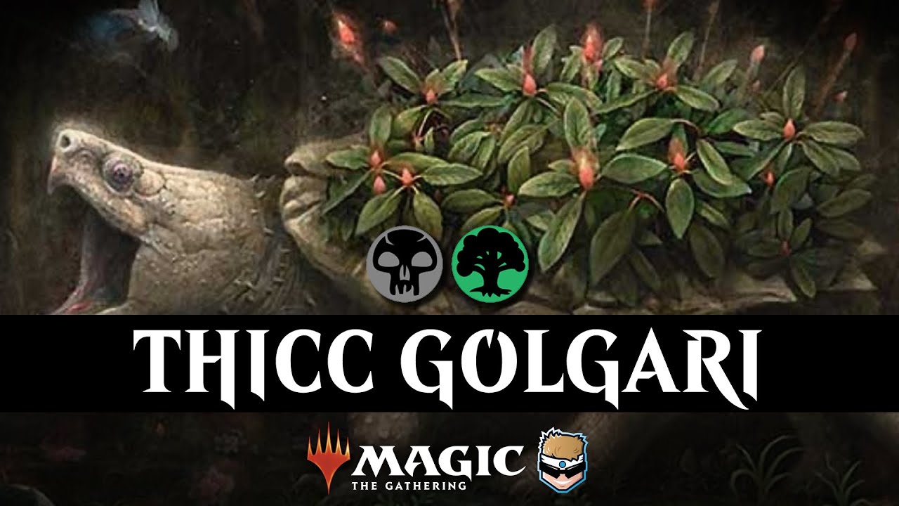 Do you hate aggro? Run more TOUGHNESS 🐢 - YouTube