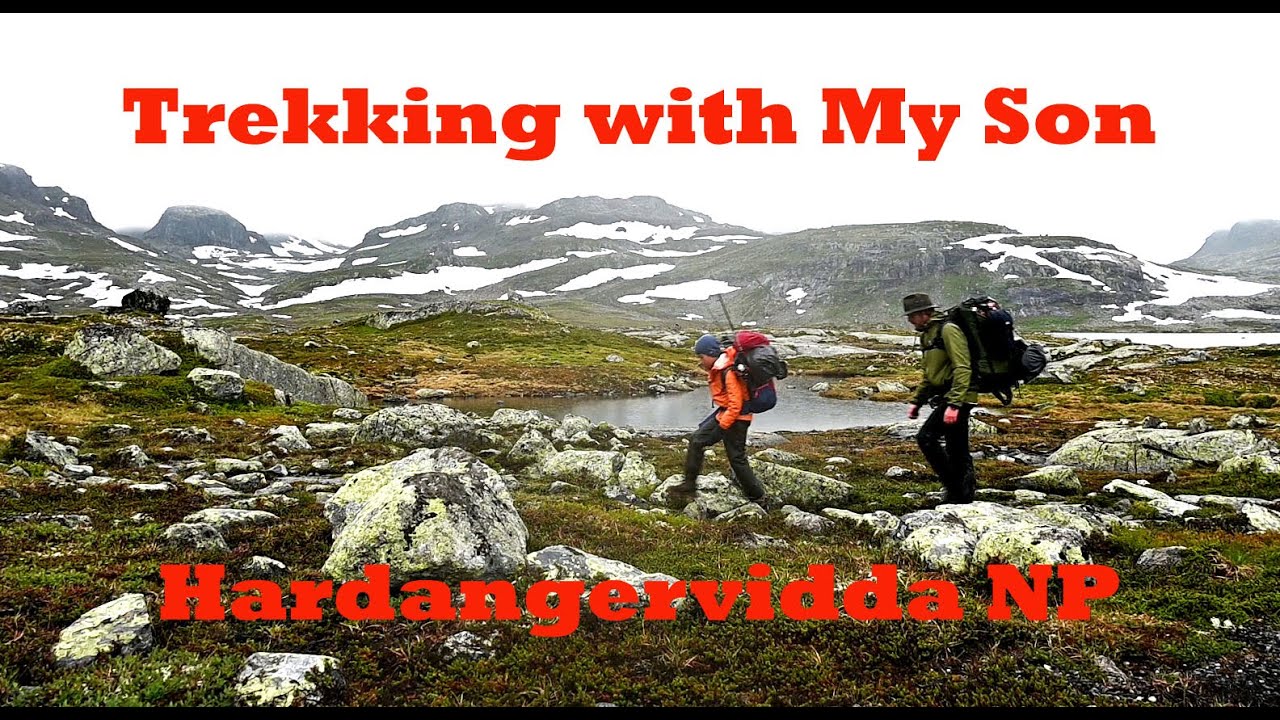 Vandring med min sønn. Hardangervidda nasjonalpark, Norge. Vandring ...