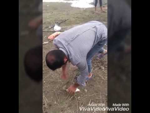 Ərkivan Balıqçıları KəbləQasım. Qadir - Qoşqar Baliq ovu 2016