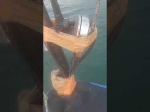 10.06.2021   TEKİR AVİ