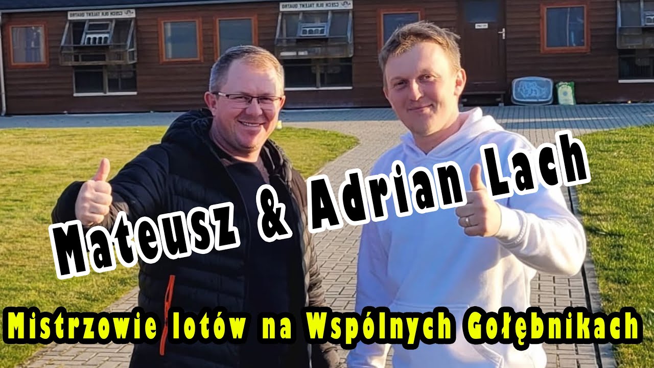 MATEUSZ & ADRIAN LACH - MISTRZOWIE LOTÓW NA WSPÓLNYCH GOŁĘBNIKACH - YouTube