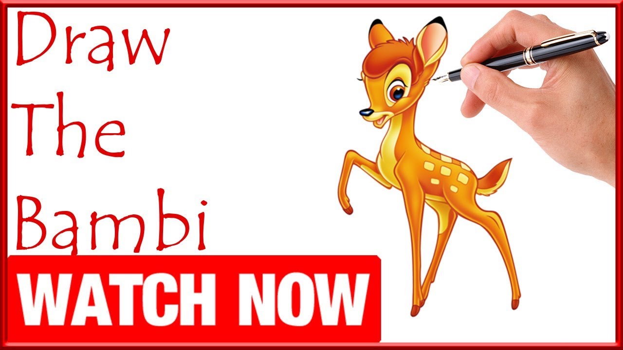 How To Draw The Bambi - Learn To Draw - Art Space - YouTube