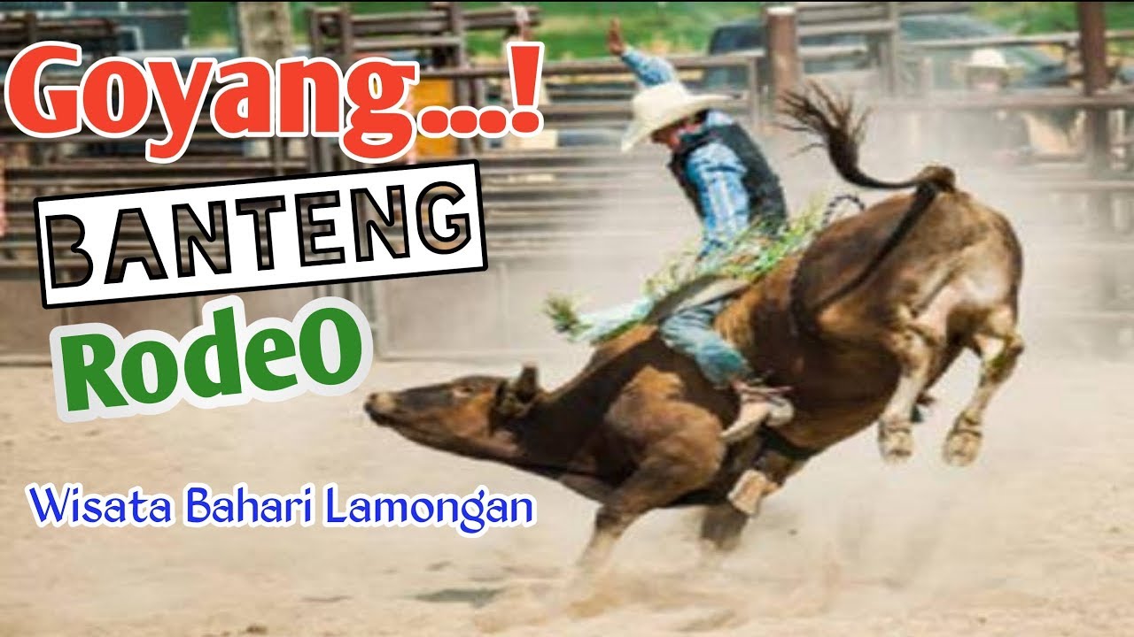 PERMAINAN BANTENG RODEO, WBL - YouTube