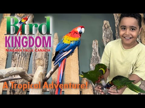 Niagara Falls Bird Kingdom Full Walk Through Tour World’s Largest Free ...