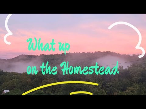 This week on the Homestead. Water pumps and festivals. - YouTube