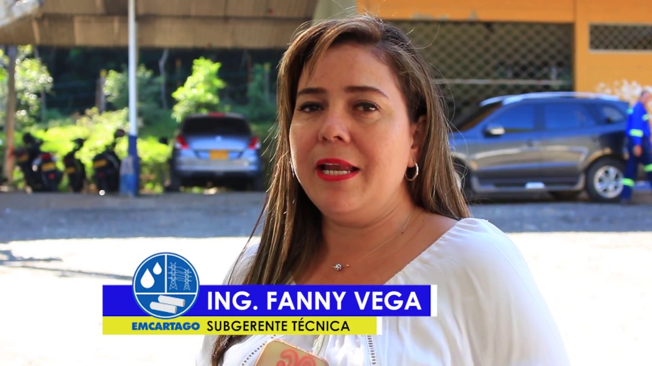 Ingeniera Fanny Vega sobre labor de Inventario de la Red de Energía ...