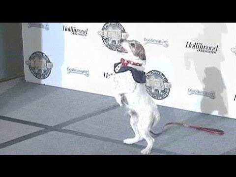 The Artist'in Uggie'si Altın Tasma ödülünü aldı