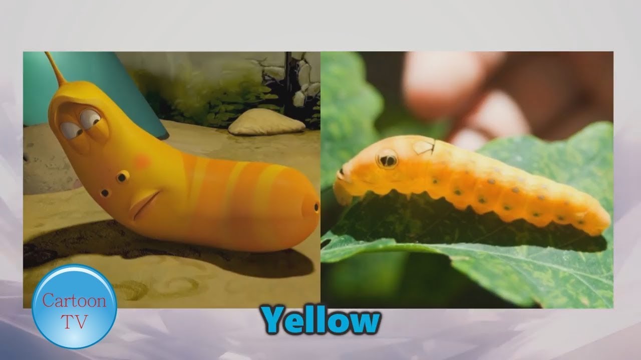 Larva Characters in Real Life - YouTube