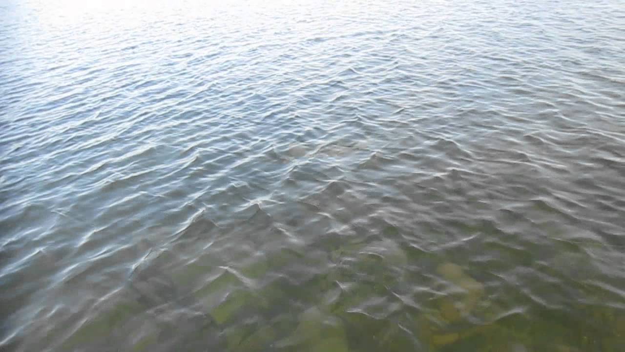 1 big fish at Schultz Lake - YouTube