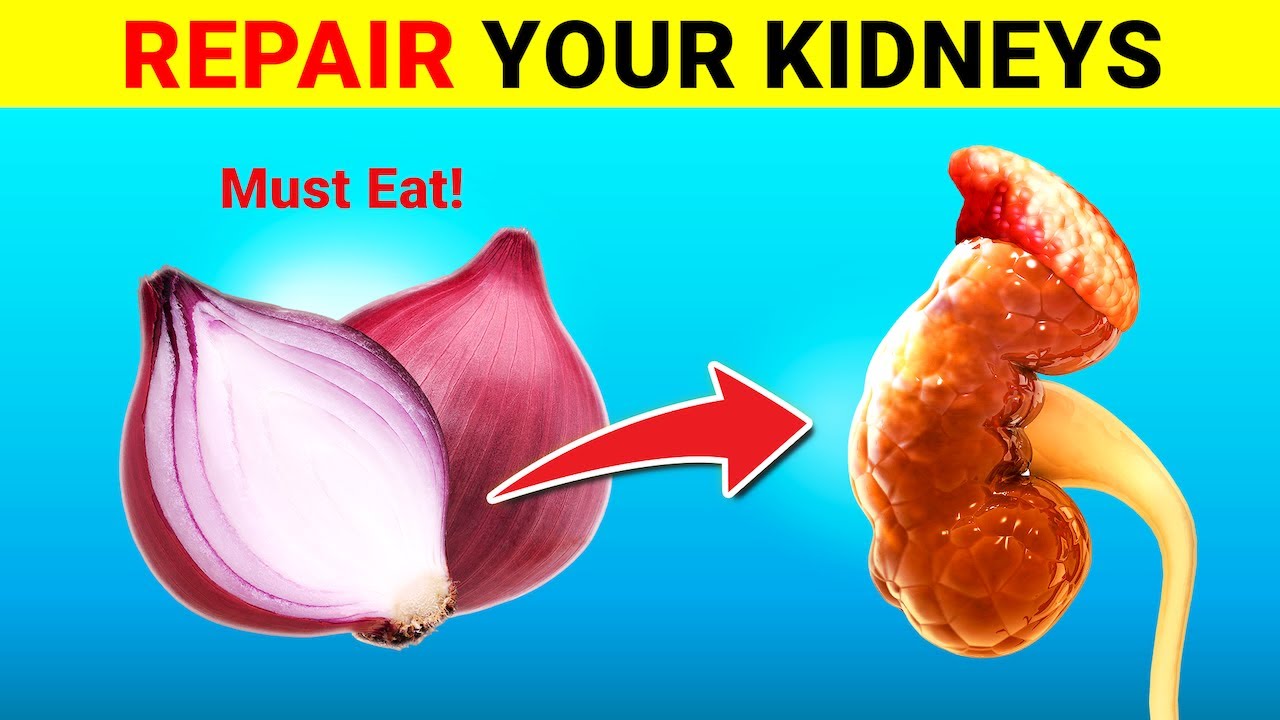 Top 23 Foods To Help Repair Your Kidneys. Must Eat! - YouTube