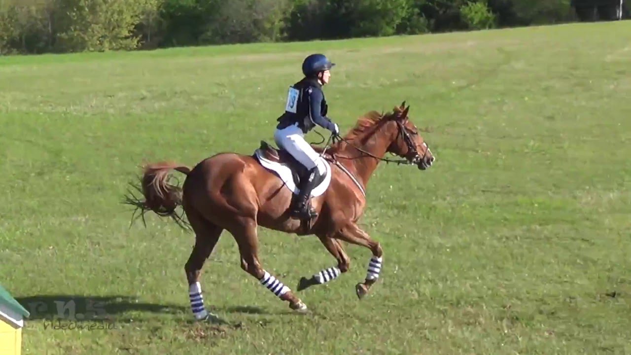 Stephanie Reimers & Shotgun Willie Texas Rose Spring 2016 - YouTube