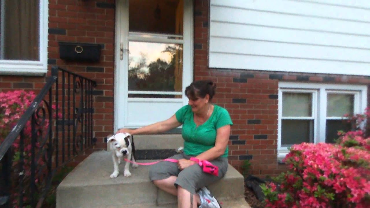 Just another Sunday - YouTube