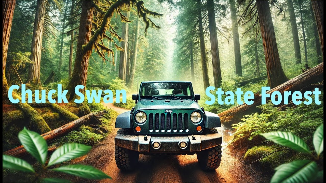 Exploring Chuck Swan State Forest | Trail Riding - YouTube