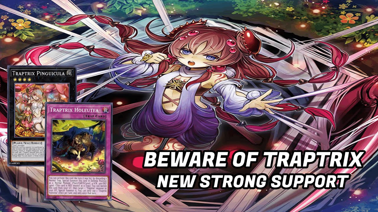 Beware of the New Traptrix || Yu-Gi-Oh Master Duel - YouTube