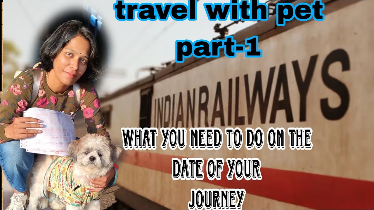 Things to do on the day of your journey to travel with your pet #irctc ...