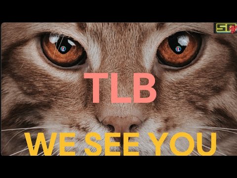 WE SEE YOU...... - YouTube