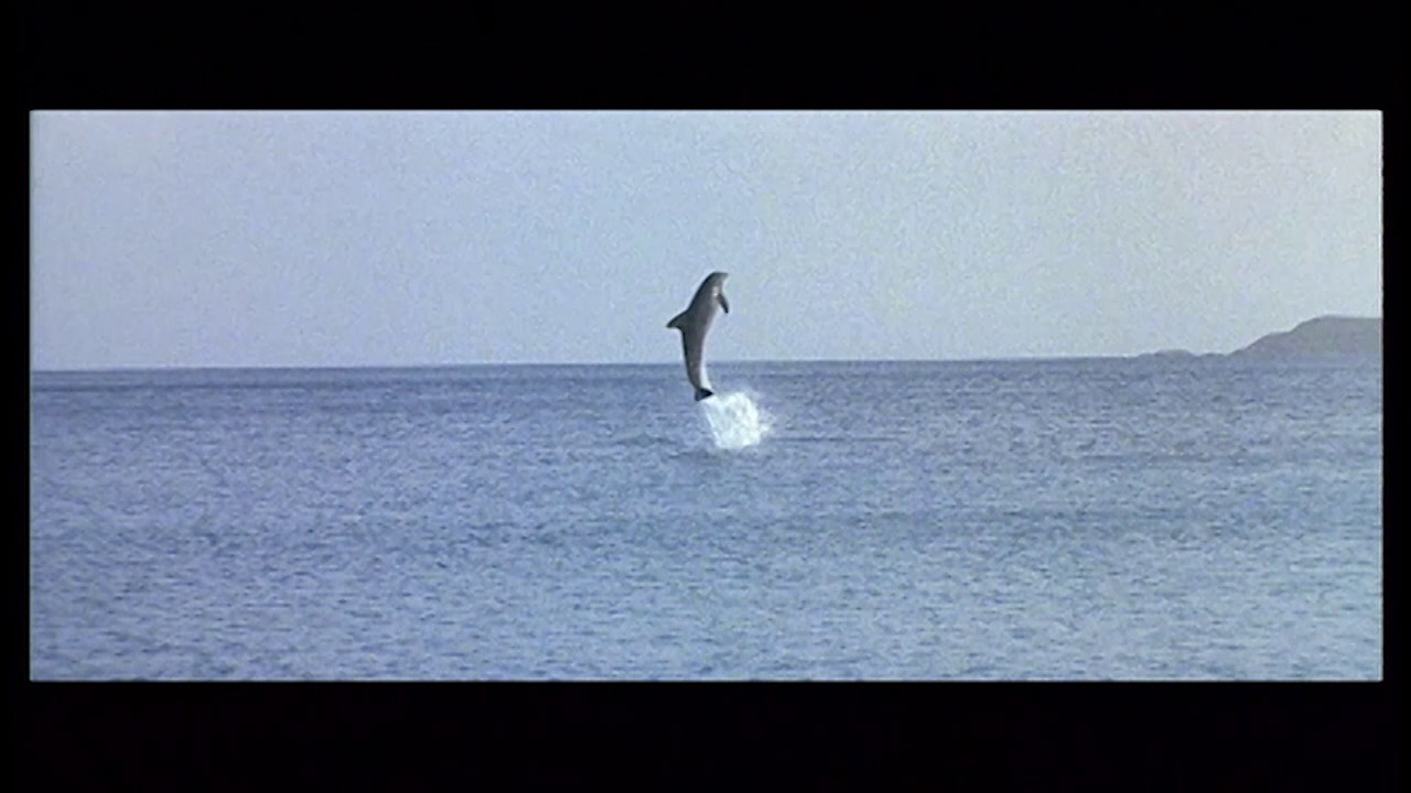 El Gran Azul - Tráiler - YouTube