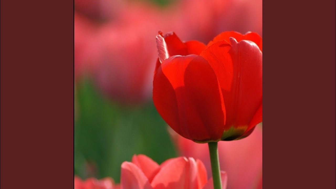 Jackson Houser Erlene Decker Jason Cleary Jackson Houser - YouTube