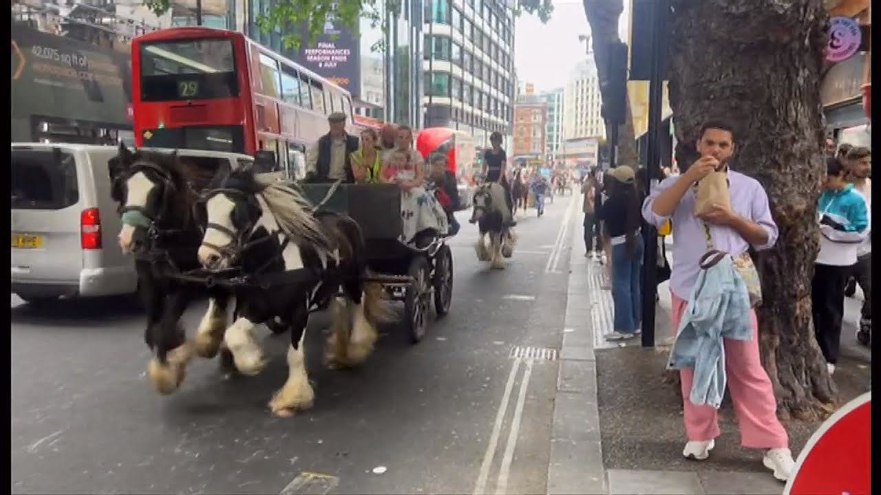 Pony & Trap race pops up in Charing Cross in London for 20 minutes (UK ...