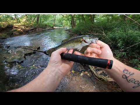The Mobile Basin Bass Slam in 1 DAY!!! All 4 species of Redeye bass ...