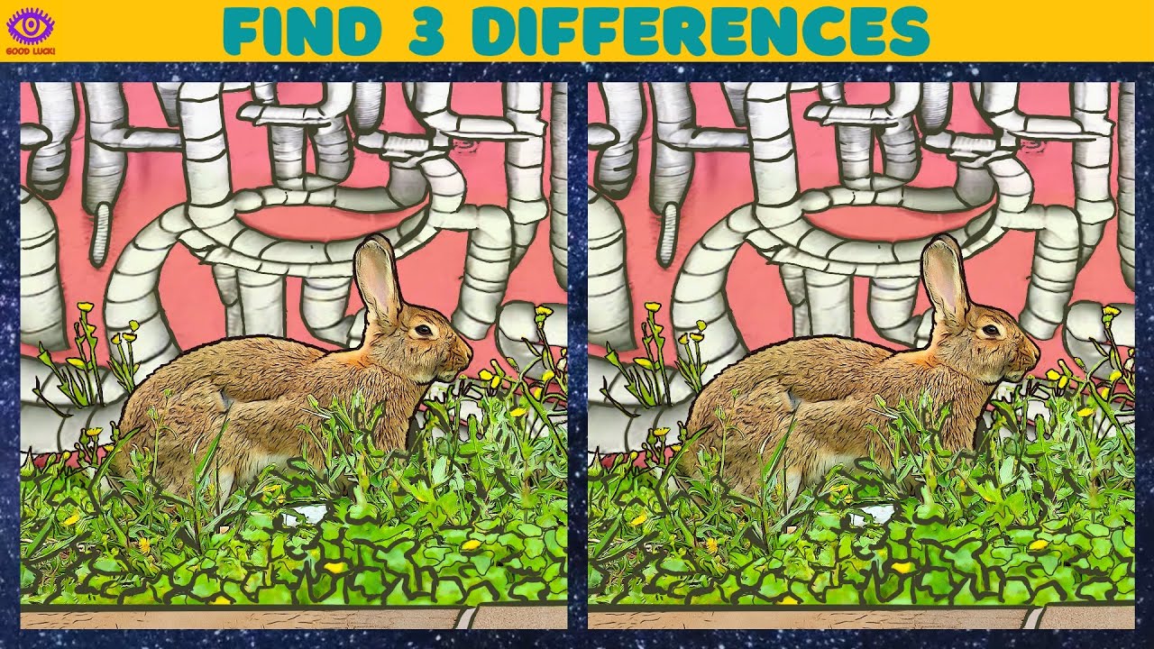 【Find the Difference】 Brain Game Puzzle - Part 176 - YouTube
