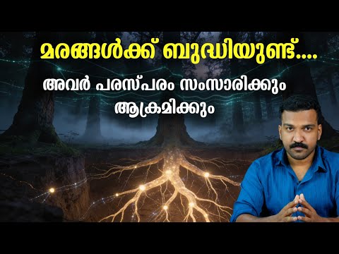 മരങ്ങൾ പരസ്പരം സംസാരിക്കാറുണ്ടെന്നു കണ്ടെത്തൽ 