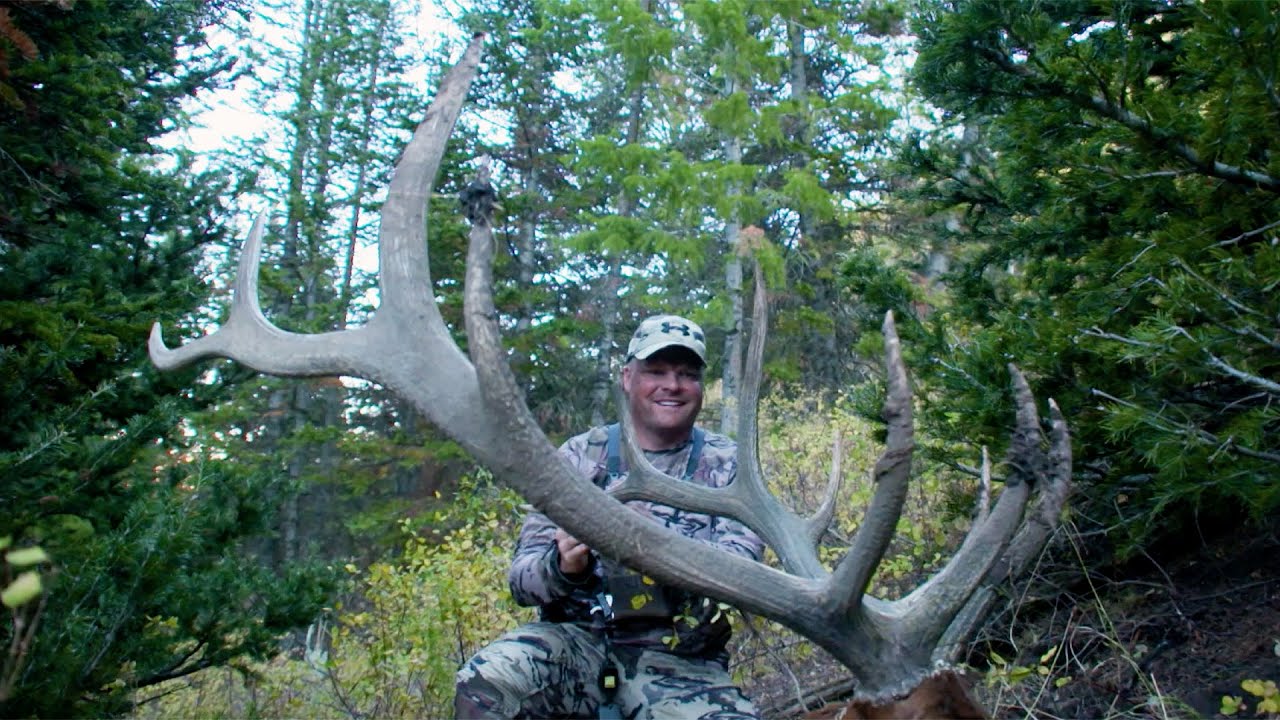 MOTV QUICK SHOTS / 2019 Brad Treu Utah Elk MOTV // Lee and Tiffany ...