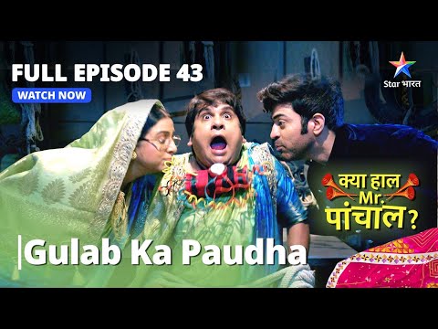 Full Episode 43 || क्या हाल मिस्टर पांचाल? || Gulab Ka Paudha #starbharat