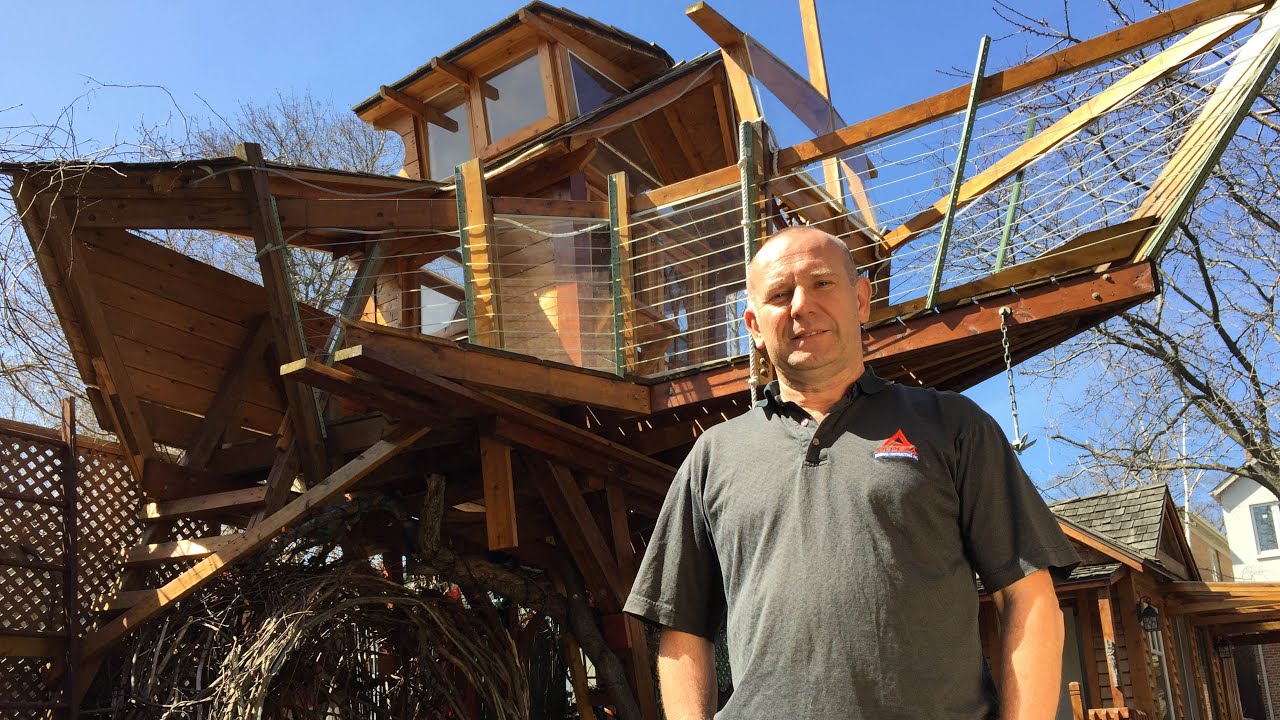 Toronto treehouse-boat could be saved from the chopping block - YouTube