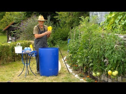 Wurmtee Bodenaktivator selber machen Rezept