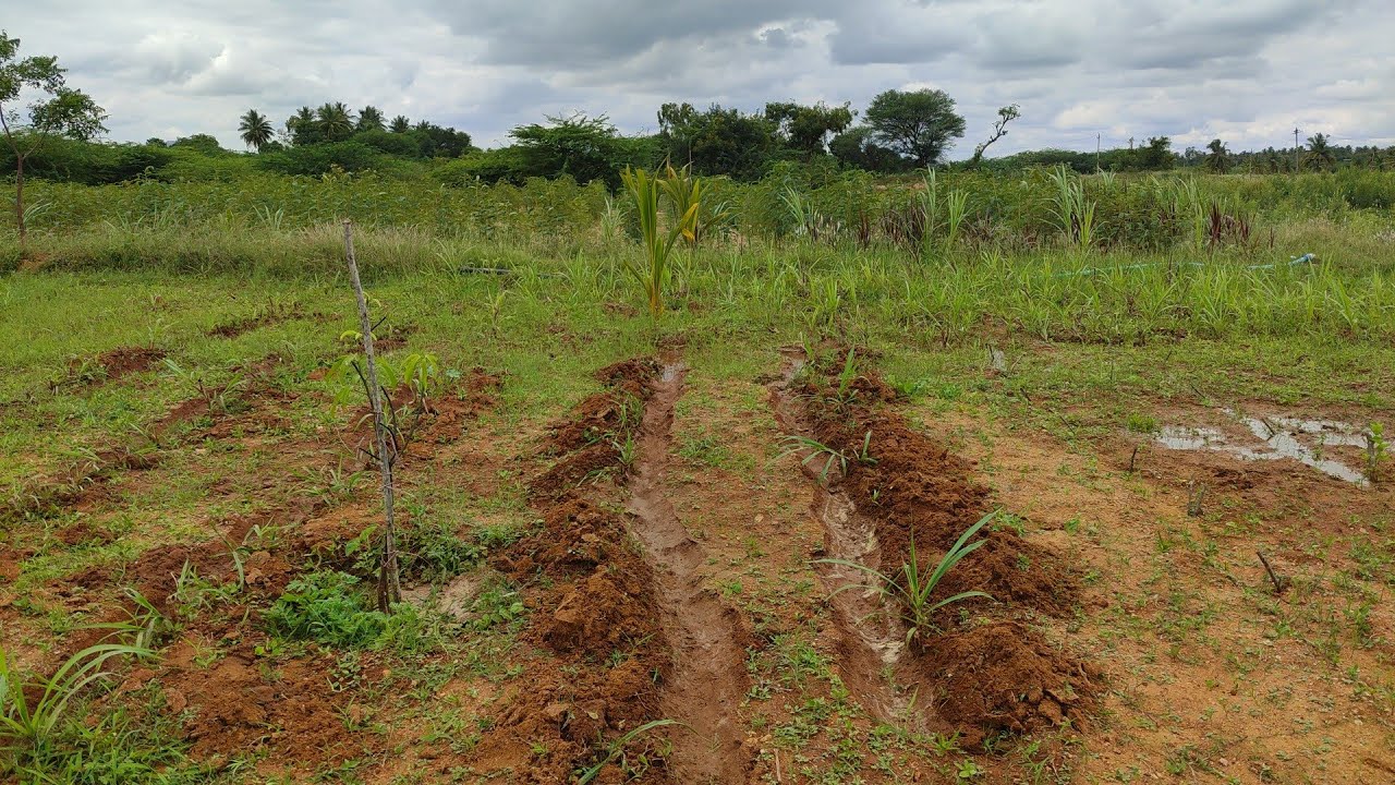 4 acres [1 bore well ] agriculture land for sale 7338132191 - YouTube