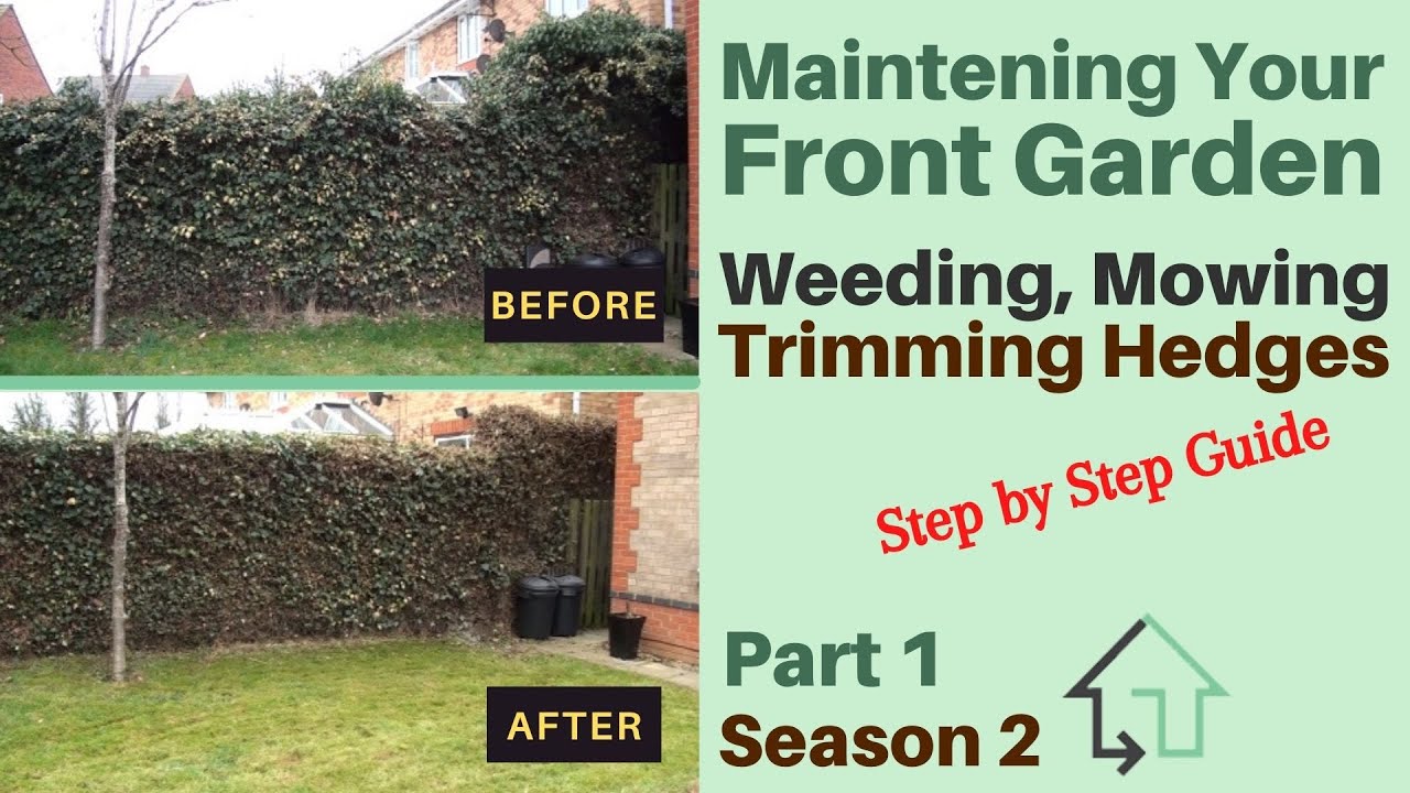 Maintening Your Front Garden: Weeding, Mowing & Trimming Hedges ...