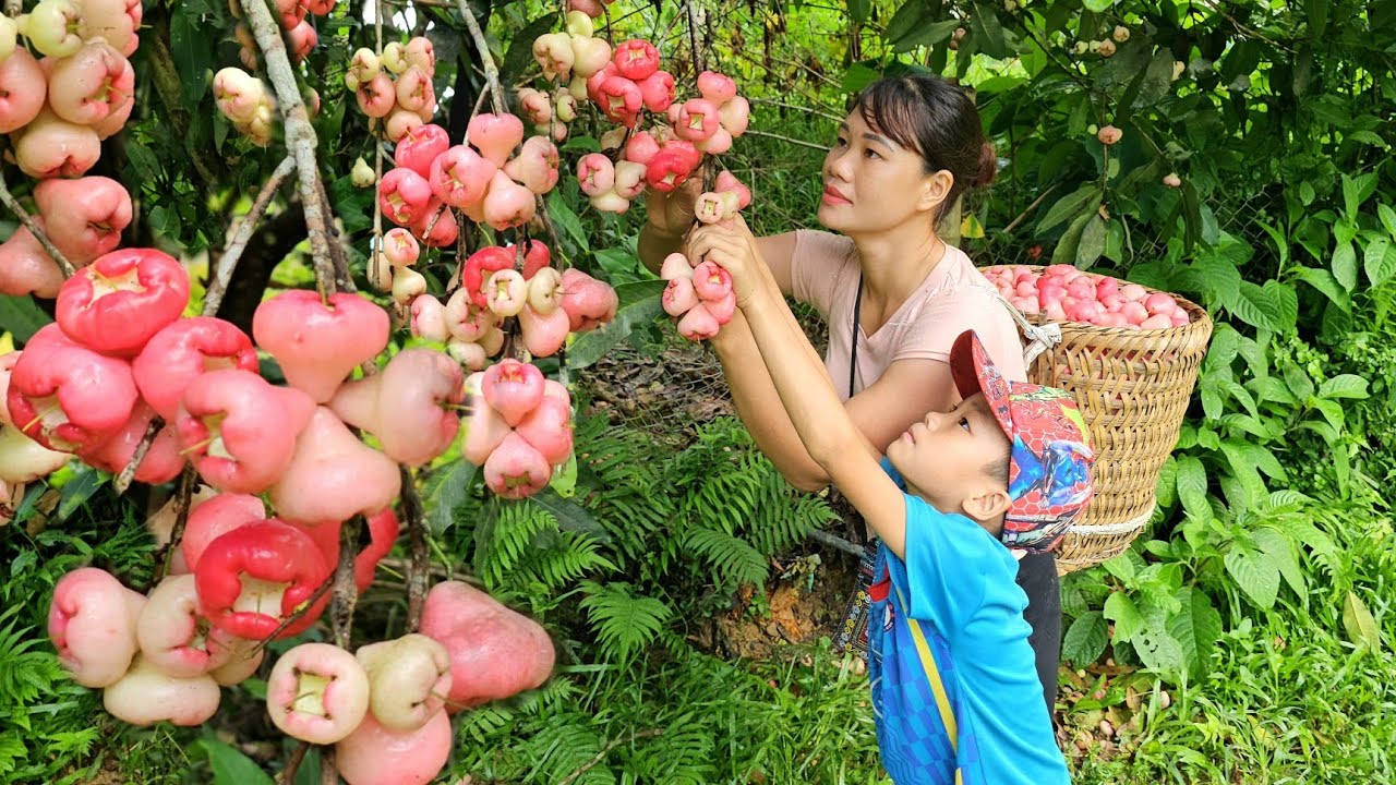 Harvest the Whip fruit and bring it to the market to sell and build a ...