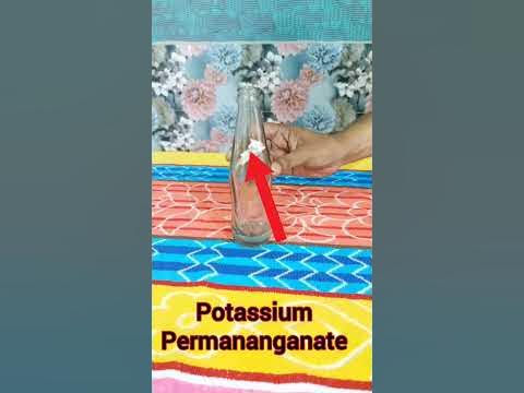 😱Genie In a Bottle | Science experiments #trending #experiment # ...