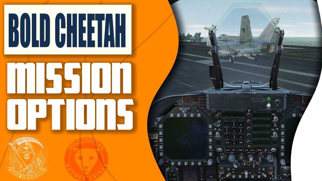 Bold Cheetah Changes - YouTube