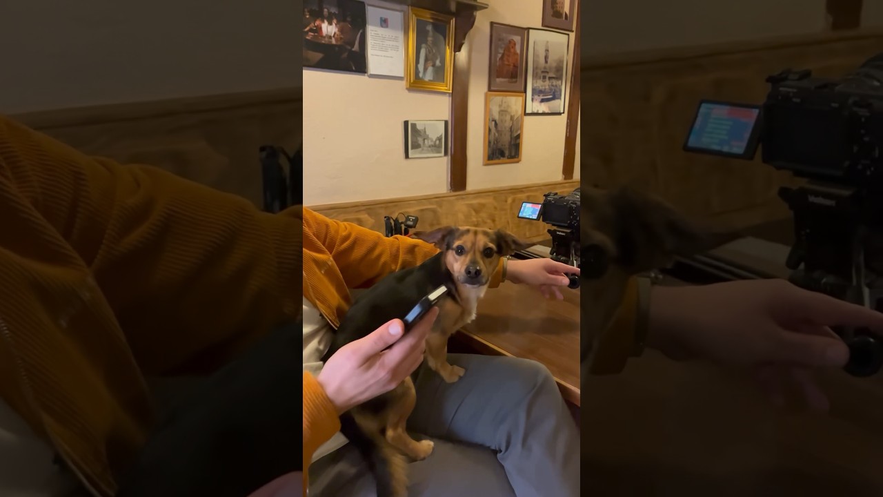 Kaiser Talk Folge 12: Behind the Scenes 🎙️ - YouTube