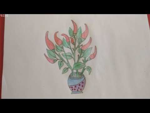 How to draw a chili tree easily step by step 💕💕মরিচ গাছ আঁকা শিখুন 💕💕 ...
