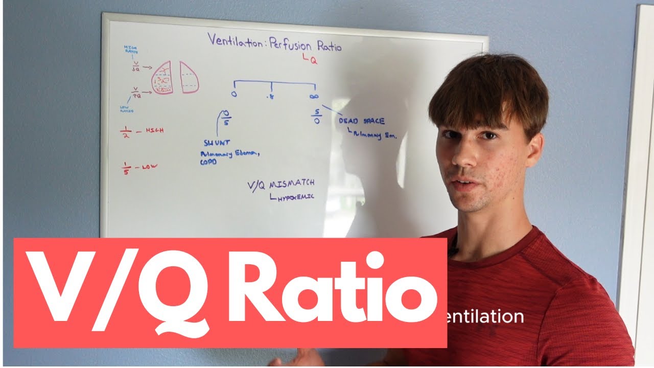 V/Q Mismatch & Why Its Important | EMT - YouTube
