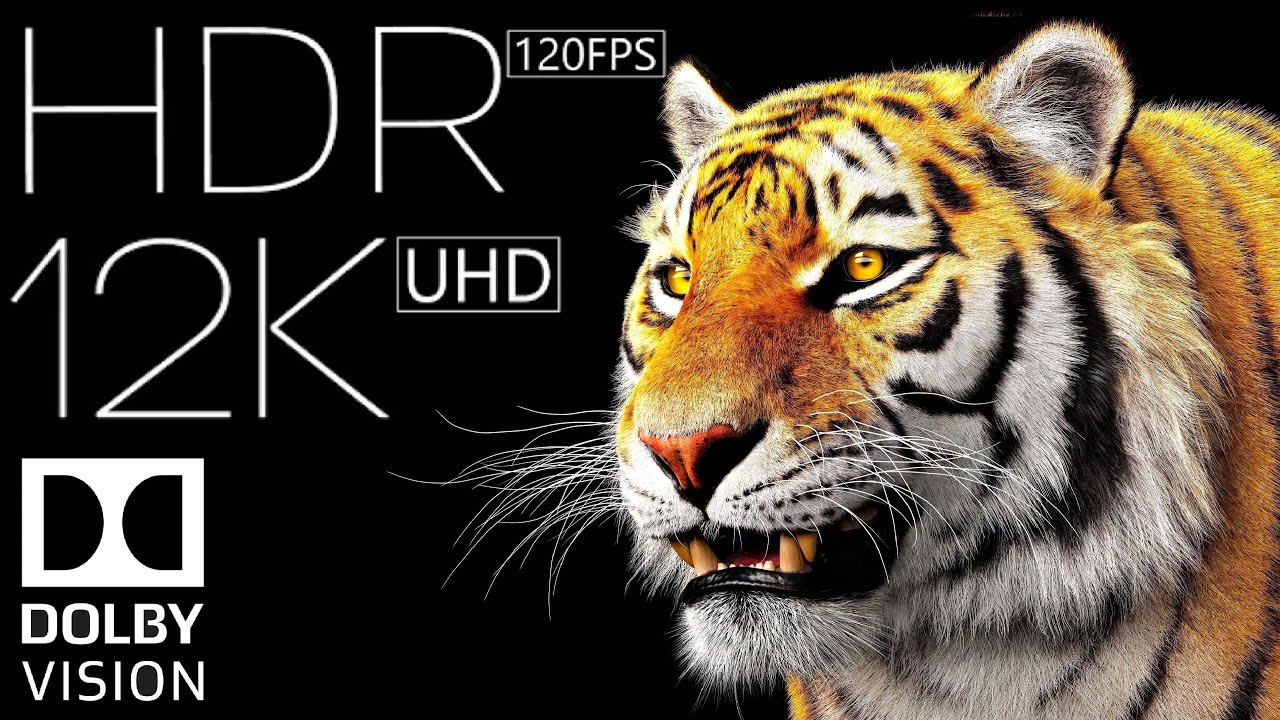 12K HDR 120fps Dolby Vision | Extreme Clarity - YouTube