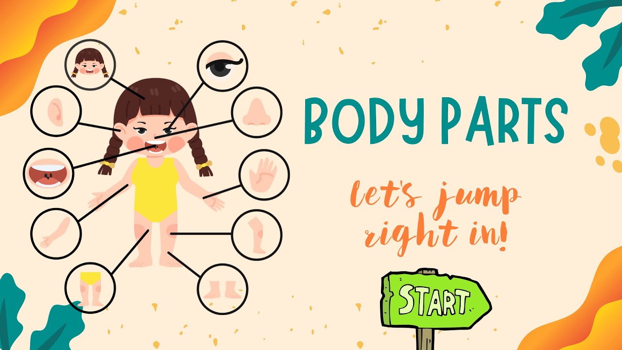 Neet some new body parts (Part 2) #behoctienganh #englishforkids # ...