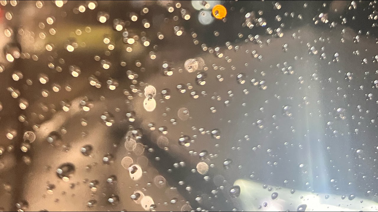 Kiley Petersen Live Stream - YouTube