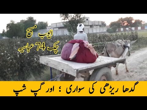 Ghadha Gari ki Sawari || Khoti reri #villagelifestyle #donkey - YouTube