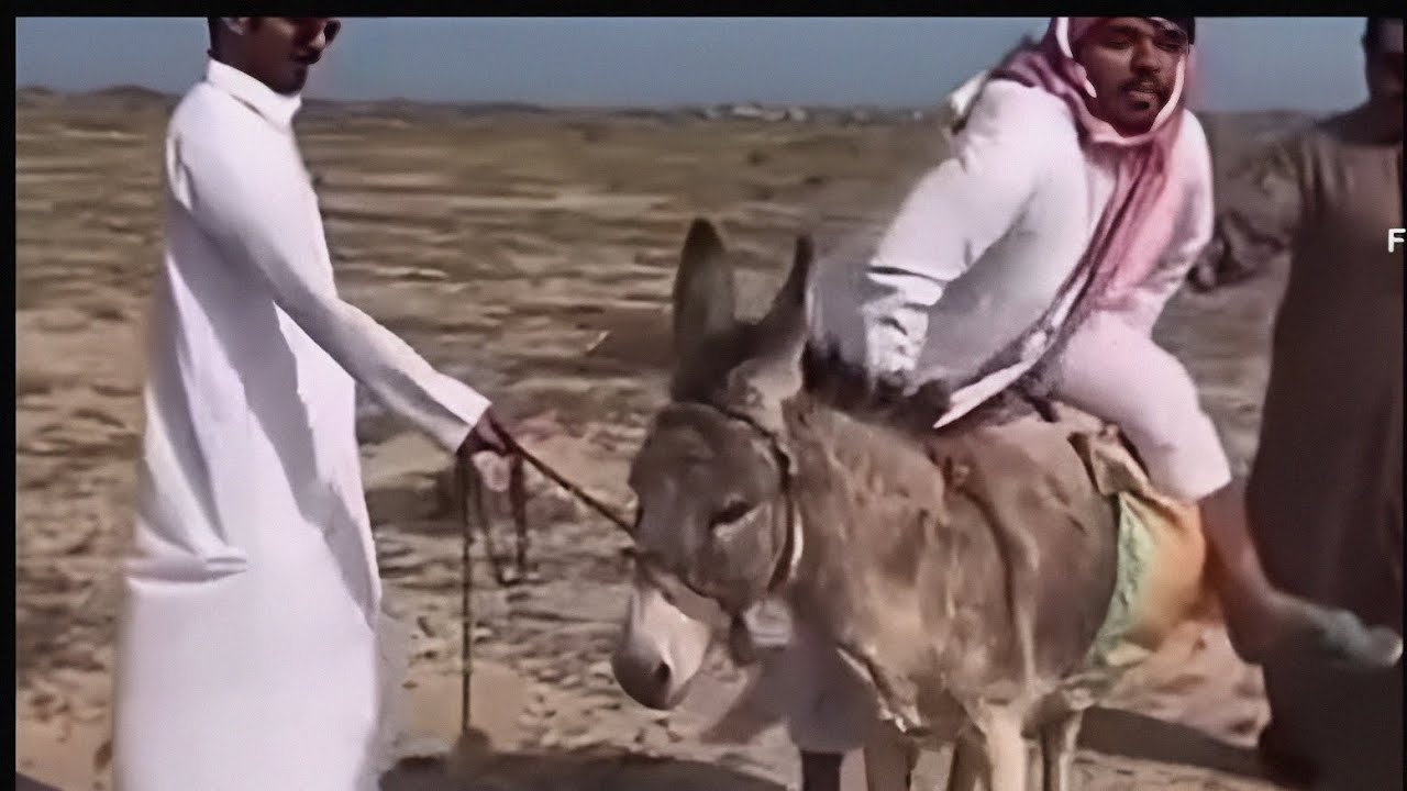 FUNNY ARAB MEME COMPILATION NOV 2023 - YouTube
