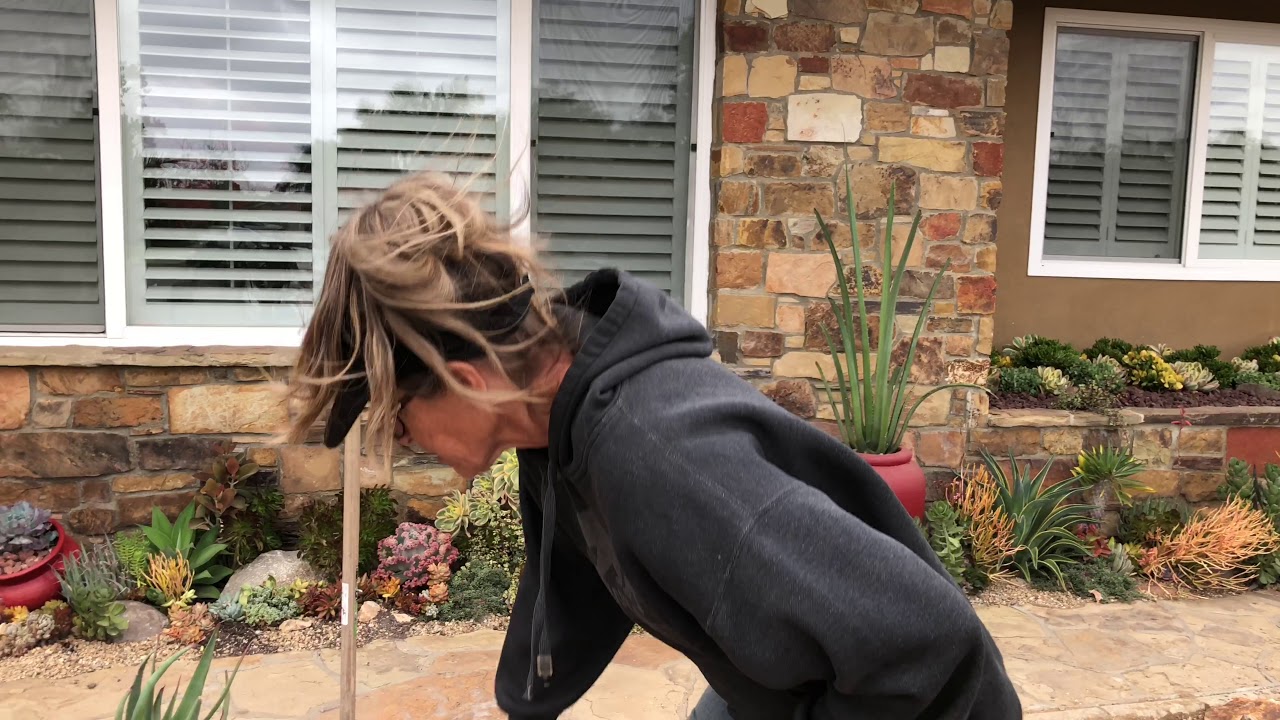 HUGE Succulent Front Yard Installation in Tustin, Ca with Laura Eubanks ...