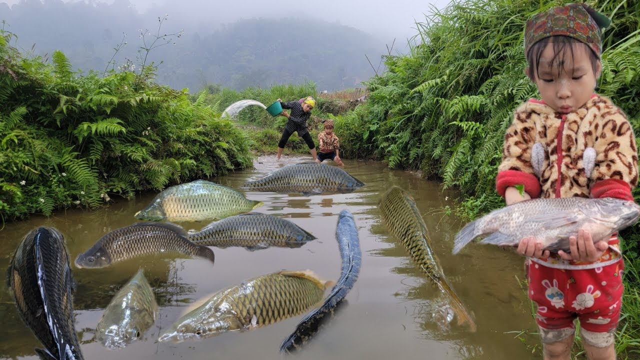Catching fish in a wild pond when it rains, techniques for catching ...