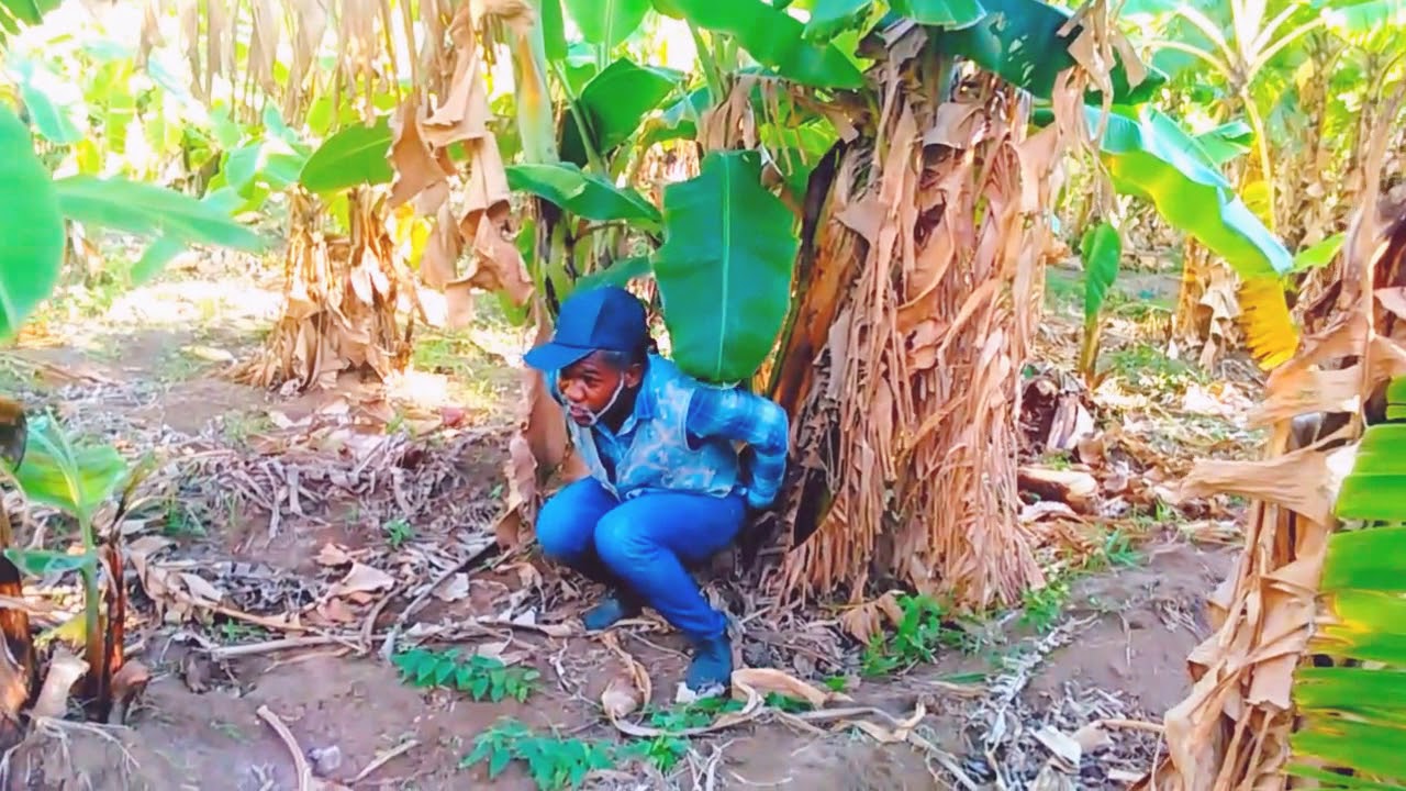 Timoun dezòd vinn griyen danw - YouTube