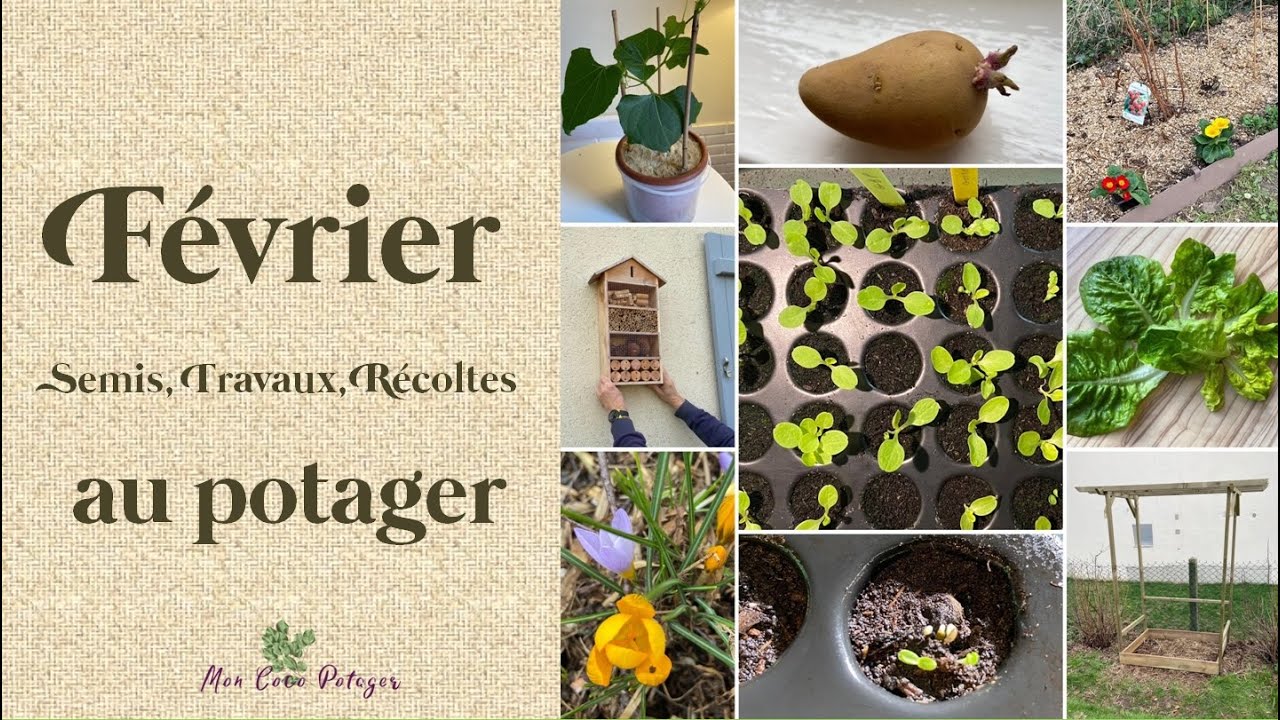 Que faire en Février au potager ? - YouTube