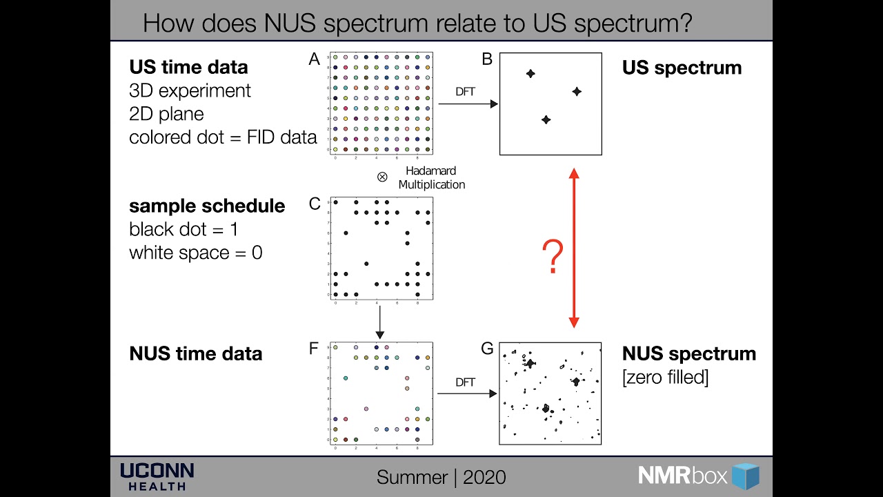 4 schuyler nus lecture - YouTube