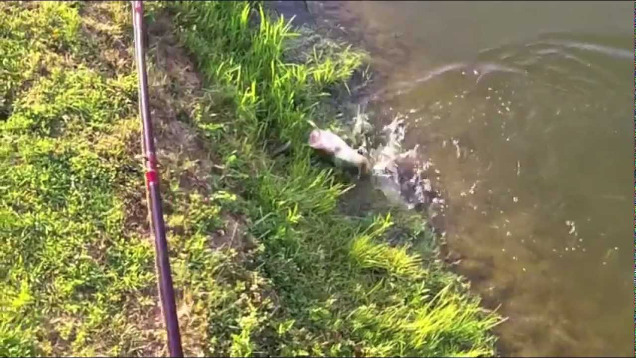 Bigbassmaster1 Fishing Bloopers (Thanks For 100,000 Views) - YouTube
